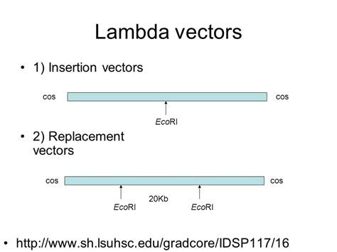 Lambda Vector At Collection Of Lambda Vector Free For