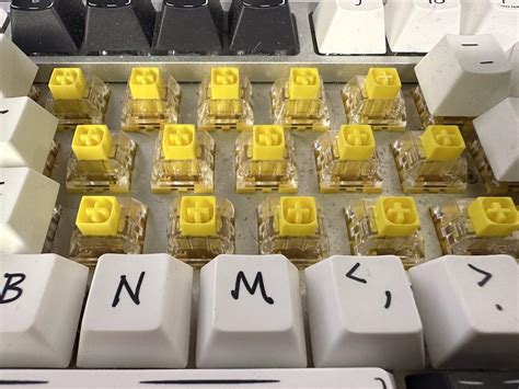 Did You Know Every Seven Years Every Cell In A Programmers Body Winds Up In Their Keyboard