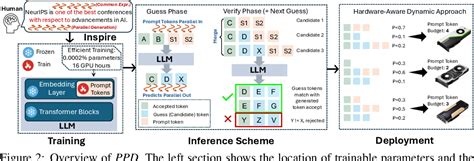 Hardware Aware Parallel Prompt Decoding For Memory Efficient Acceleration Of Llm Inference