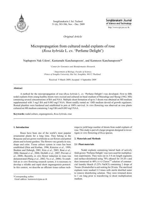 Micropropagation From Cultured Nodal Explants Of Rose Rosa