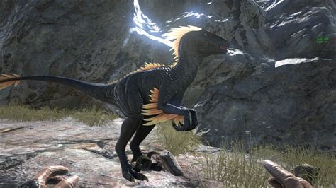 Image Ark Raptor Screenshot 004  Ark Survival Evolved Wiki Fandom Powered By Wikia
