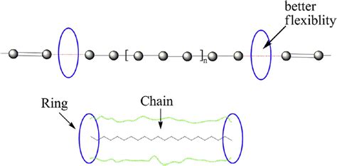 Schematic Diagram Of Chain Ring Assumption Download Scientific Diagram