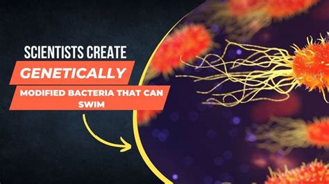 Scientists Have Created A Genetically Engineered Synthetic Microorganism That Can Swim