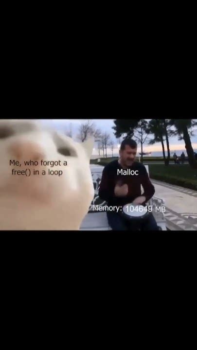 Effects Of Not Writting Freeletscodeitout Codeperday C Codingiykyk Fypage Youtube