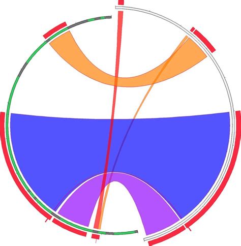 Novel Plasmid Reconstruction Right Compared With C Diphtheriae Png2 Download Scientific