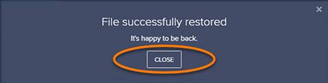 How To Recover Avast Deleted Files On Mac And Windows
