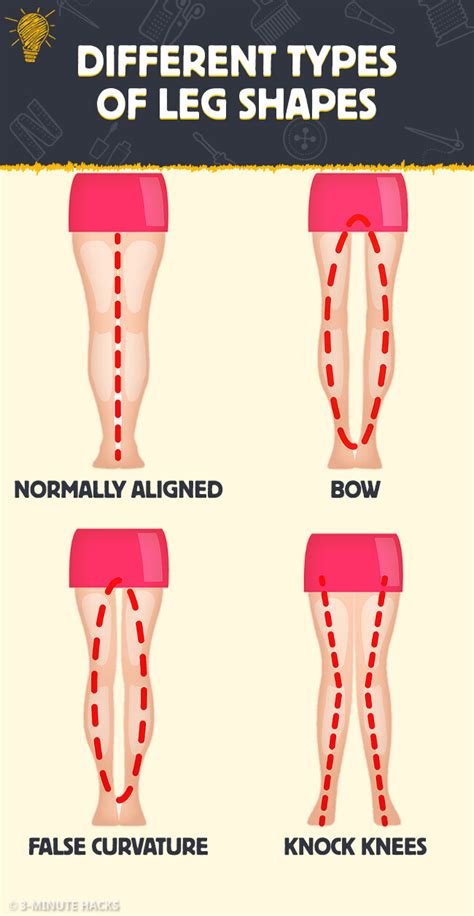 Bright Side Different Types Of Leg Shapes
