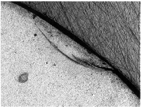Subsurface Crack From Test 4 Download Scientific Diagram