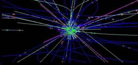 Beauty Quark Lasopaeazy