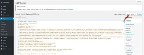 Wordpress Appearance Editor Beginner Guide 2023