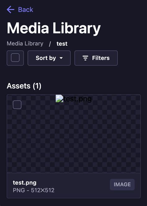 S3 No Presigned Urls For Private Buckets In Strapi V490 Questions And Answers Strapi
