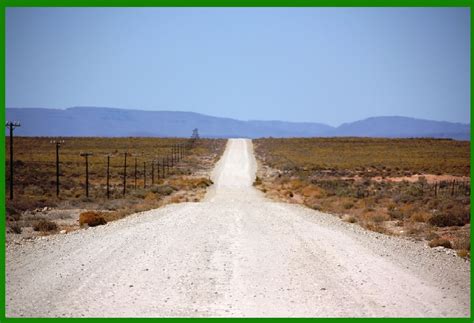 Dna Barcoding Challenges And Limitations