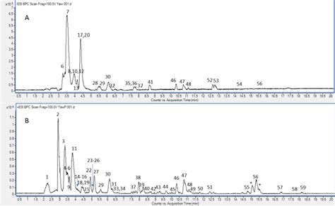 Base Peak Chromatogram Bpc Of Noni Bio Fermented Drink Output From A