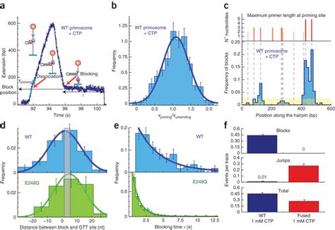 Primosome Disassembly Model For Primer Synthesisa Experimental Trace