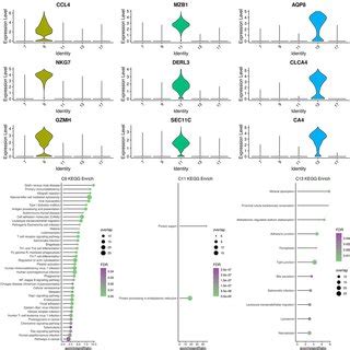 The Cell Types Of The Cluster Marker Genes A The First Three Marker Download Scientific