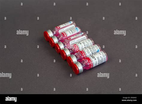 Animal Rabies Vaccine Biocan R From Bioveta Is On Gray Six New