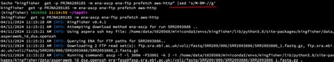 sublime text replace jimmy老师视频号直播代码粘贴到终端无法运行，原因解析与解决办法 行业动态 新闻中心 江苏优软数字