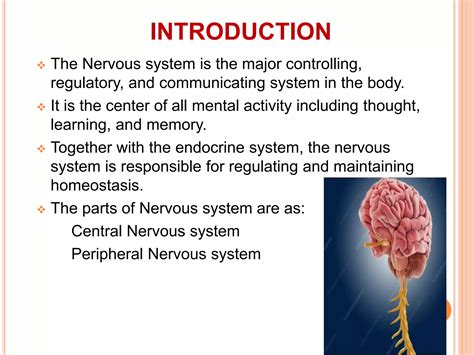 Structure And Functions Of Cerebrum PPTX Brain And Nervous System Disorders Diseases And