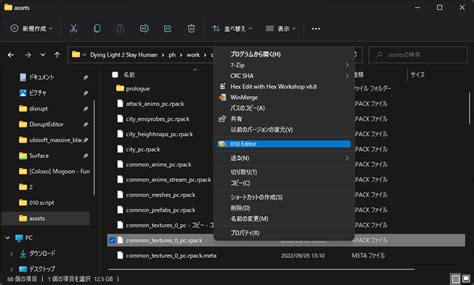 010 Editor Scripts For Rpack File Modding V103 Dying Light 2 Mod
