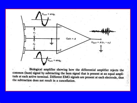 Electromyography And Its Uses About Signalsppt