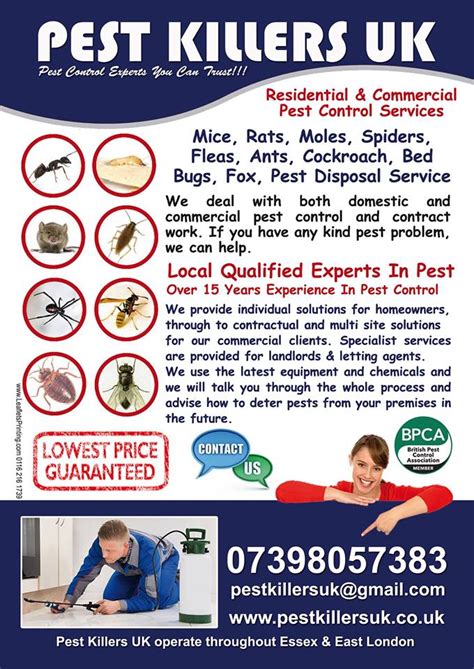 Pest Killers Uk Pest Control East London