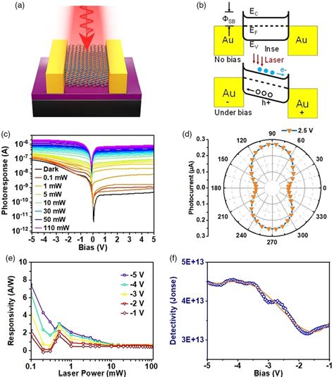 A Schematic Diagram Of Multilayer γ‐inse Polarized Photodetector B Download Scientific