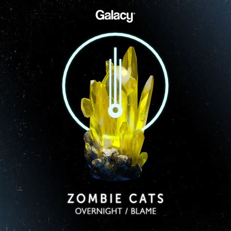Overnight Blame By Zombie Cats On Mp3 Wav Flac Aiff And Alac At Juno Download