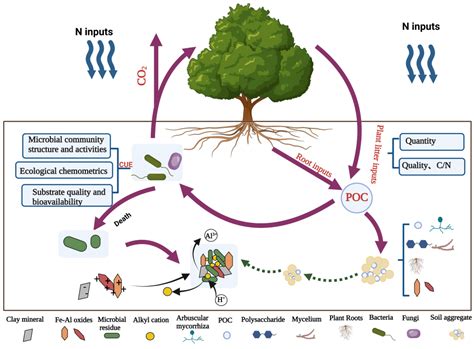 Significance Of Nitrogen In Atmosphere At Toby Denison Blog