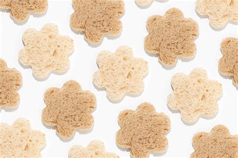 고립 된 파스텔 흰색 배경에 흰색과 통곡물 갈색 토스트 빵 조각으로 꽃 모양의 컷 아웃으로 만든 창조적 인 추상 패턴 최소한의 플랫 레이 텍스처 식품 비교 개념 꽃 식물에