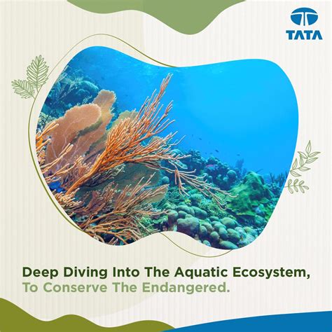 Samarth Kumar On Linkedin Ggpyr M