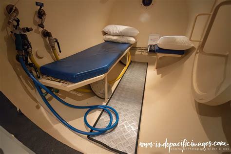 Png 23 Mar Pom 046 Acr Tdn Logo 1400 Lr Indopacificimages