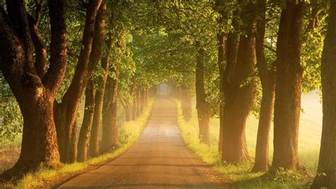 Pathway Desktop Wallpapers 4k Hd Backgrounds On Wallpaperbat