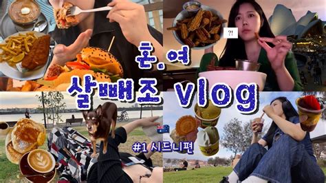 🇦🇺혼여 브이로그1 호주에서 혼자 뭐해요 드러눕기요 ∠ ᐛ 」∠ 감성 따위 없는💔 현실 시드니 브이로그 ️ Youtube