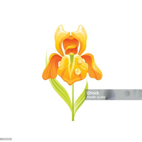 홍 채 꽃 꽃 아이콘입니다 현실적인 만화 귀여운 식물 꽃 봄 여름 정원 기호입니다 인사말 카드 T 셔츠 인쇄 장식 디자인에 대한 벡터 일러스트레이션 흰색 배경에 격리 0명에