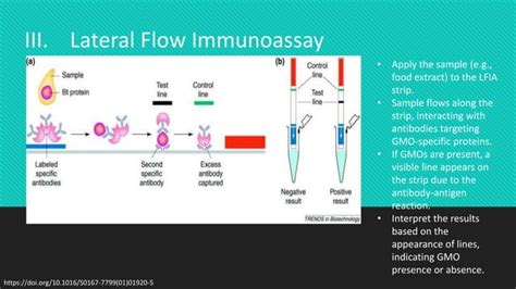 Detection Of Gmos From Foods Using Rdna Technology Pptx
