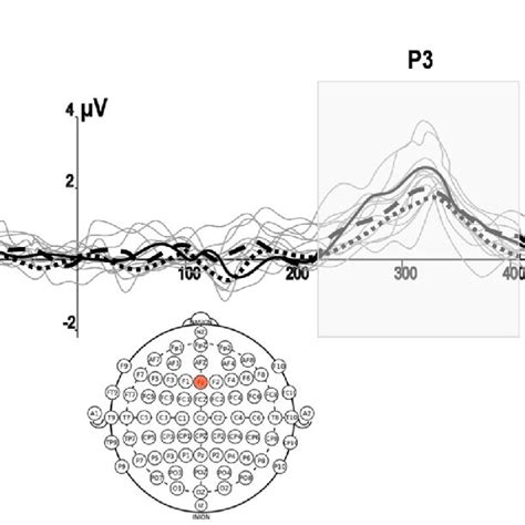 Representative Event Related Potential Waveform At Pz For The Three Representative Event Related Potential Waveform At Pz For The Three