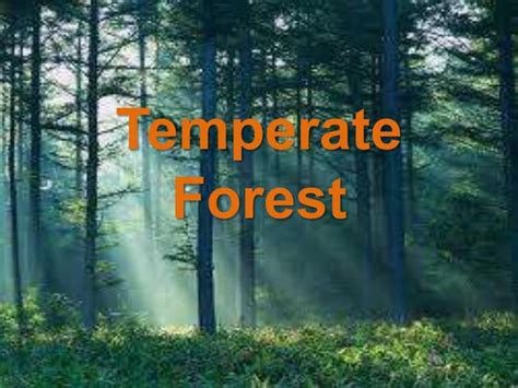 Temperate Forests Pptx