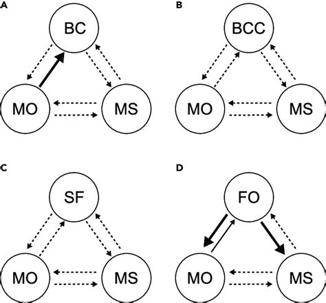 Directional Interactions In Four Triads Quantified Using Transfer Download Scientific Diagram