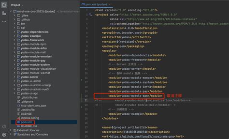 功能开启 ruoyi vue pro 开发指南