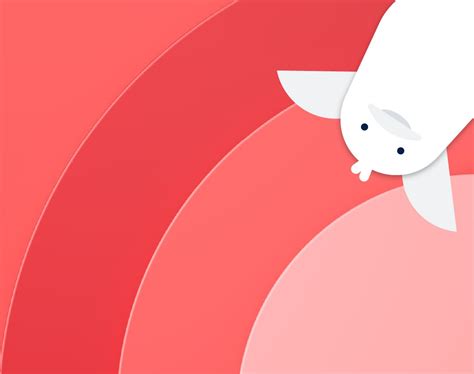 Bladder Augmentation Surgery Faq Patient Education Ucsf Benioff