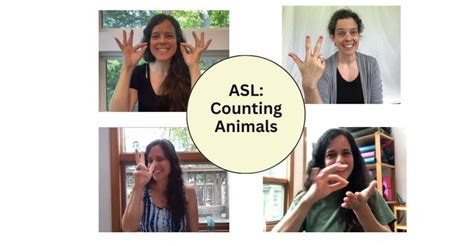 Asl Counting Signs