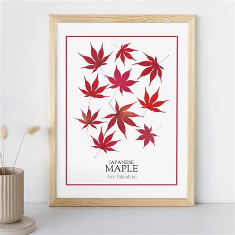 Mapleshoppers Etsy
