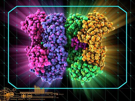 Cetuximab Drug Molecule Photograph By Laguna Design Science Photo Library Fine Art America