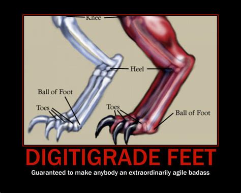 Digitigrade Feet By S1ck Genius On Deviantart