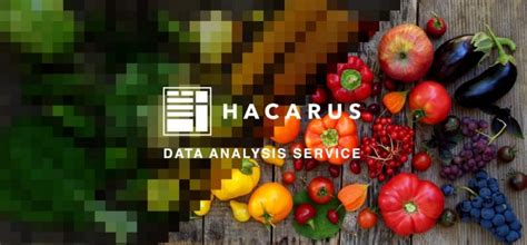 Hacarus Launches Sparse Modeling Based Data Analysis Service Hacarus Inc