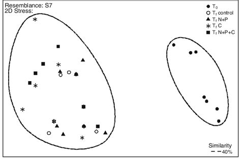 Non Metric Multidimensional Scaling Nmds Plot From The Banding Download Scientific Diagram