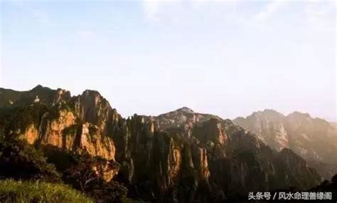 一花一世界缺憾帶來無限可能性 每日頭條