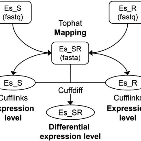 Scheme For Analysis Of Differential Gene Expression To Compare