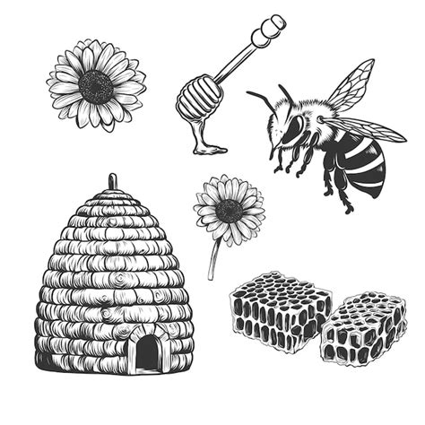 Hive Art Sketch Vectors And Illustrations For Free Download Freepik