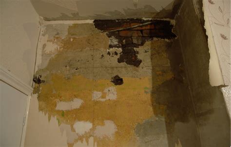 Asbestos Diynot Forums